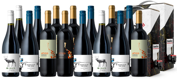 STOCK UP: The Biggest Box Ever!* – Splash Wines