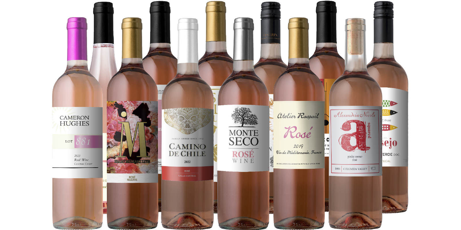 Buy Curated Cases of Wine at Low Prices - Splash Wines