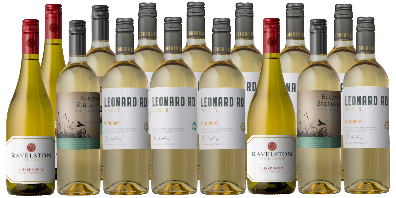 Splash Wines