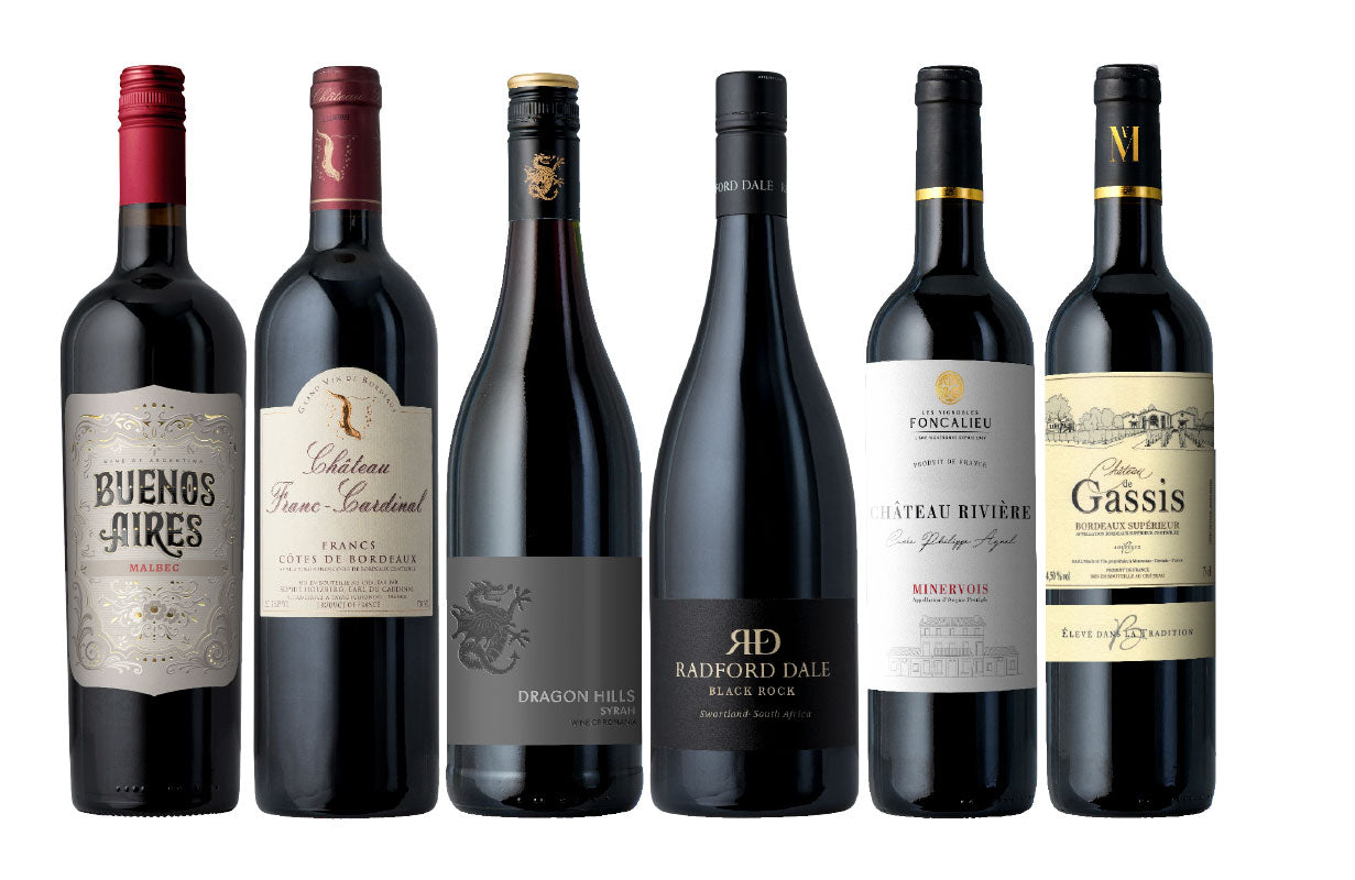 Critic's Favorite Reds 6-Pack – Splash Wines