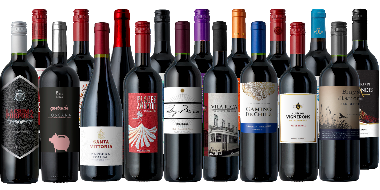 Our Most Red Blends EVER 18-Pack! – Splash Wines