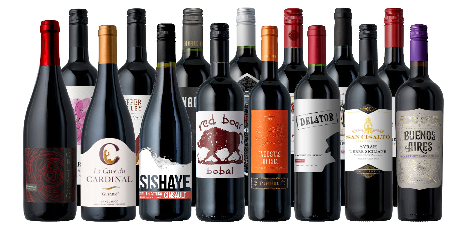 Red Wine Lover's Paradise – Splash Wines