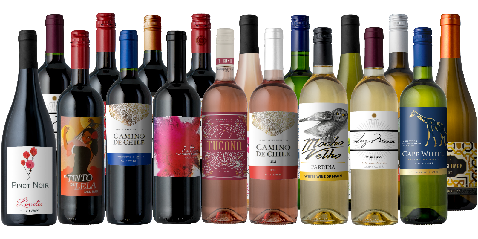 Supreme Spring Sampler 18-Pack 2024 – Splash Wines