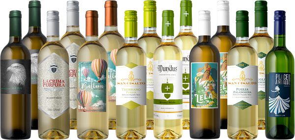 The Splash Go-To 15-Pack – Splash Wines
