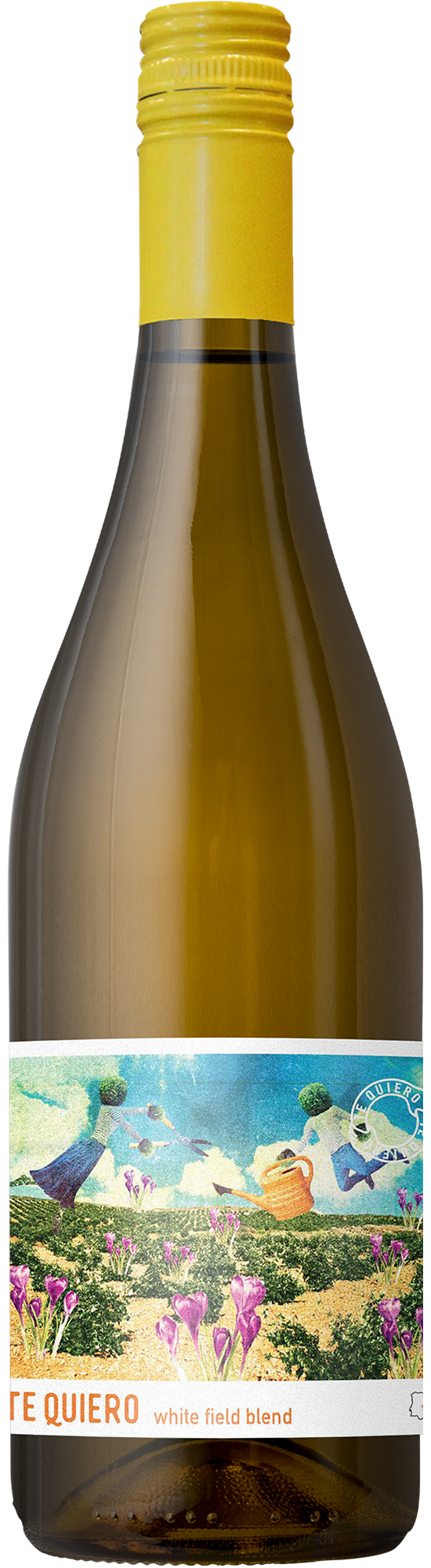 Buy Wine by the Case - Best Price & Free Shipping - Splash Wines – Page 6