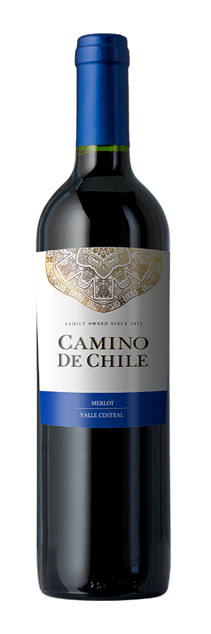 Camino de Chile Merlot 2023 – Splash Wines