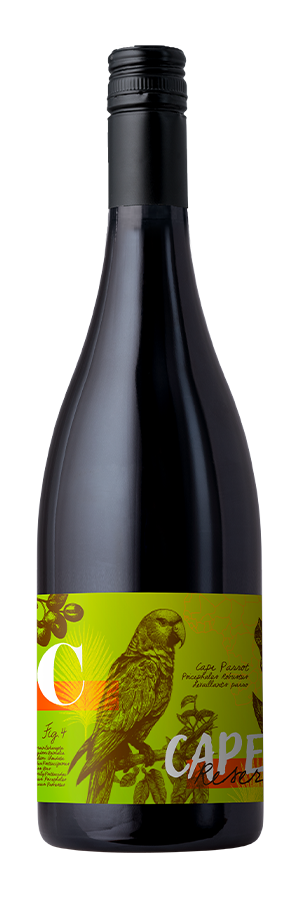 The Cape Reserve Red Blend – Splash Wines