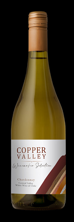 Buy Wine by the Case - Best Price & Free Shipping - Splash Wines