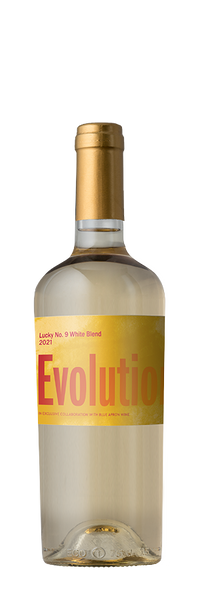 Evolution #9 White Blend 2021 500ML – Splash Wines