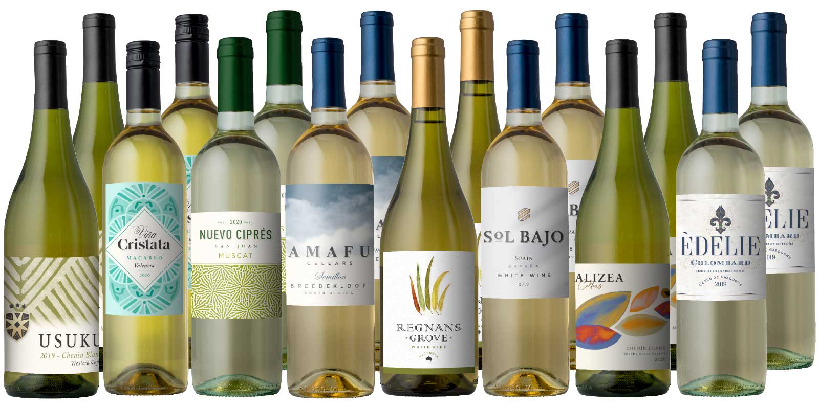 ONE DAY ONLY: The Sensational 16-Pack AT COST* – Splash Wines