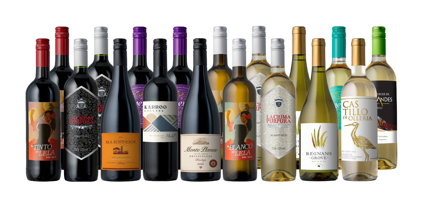 23,000 5-Star Reviews 18-Pack! – Splash Wines