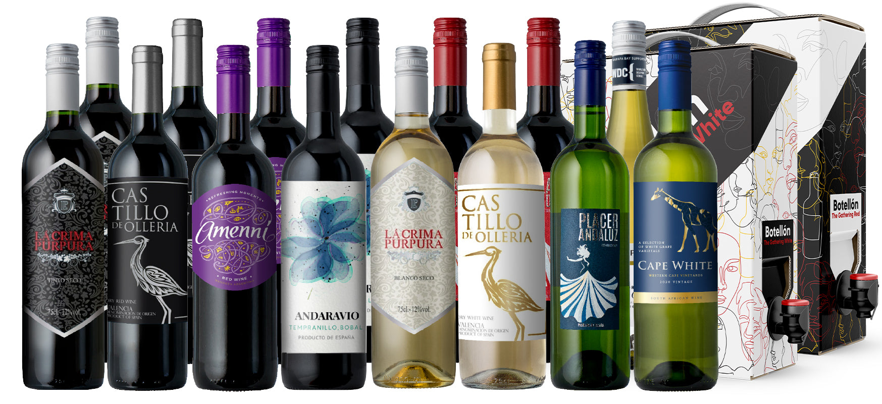 IT'S BACK: Biggest Box Ever! – Splash Wines