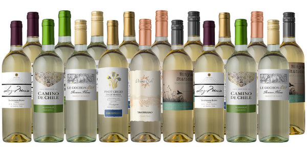 UPGRADE: Out Of This Galaxy Vineyard 18-Pack – Splash Wines