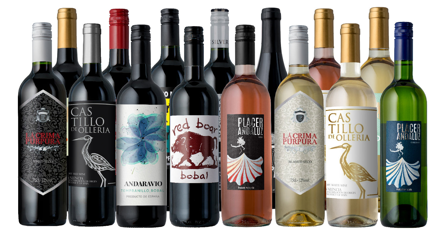 Spotlight on Spanish Wines 15-Pack – Splash Wines